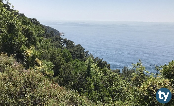Yalova'nın İlçeleri Nelerdir? Yalova İlçeleri - Tercihini Yap Yalova'nın İlçeleri Nelerdir? Yalova İlçeleri - Tercihini Yap
